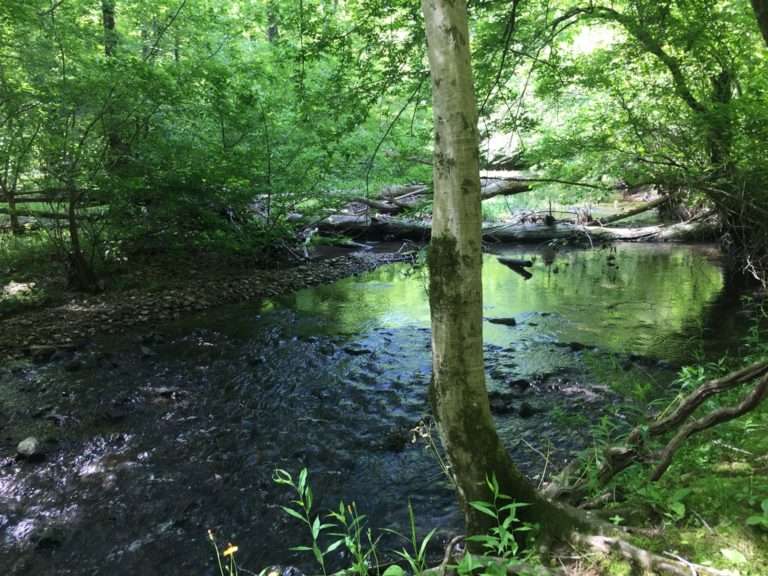 Remmel Dam at the Ouachita River › HSV Inside Out