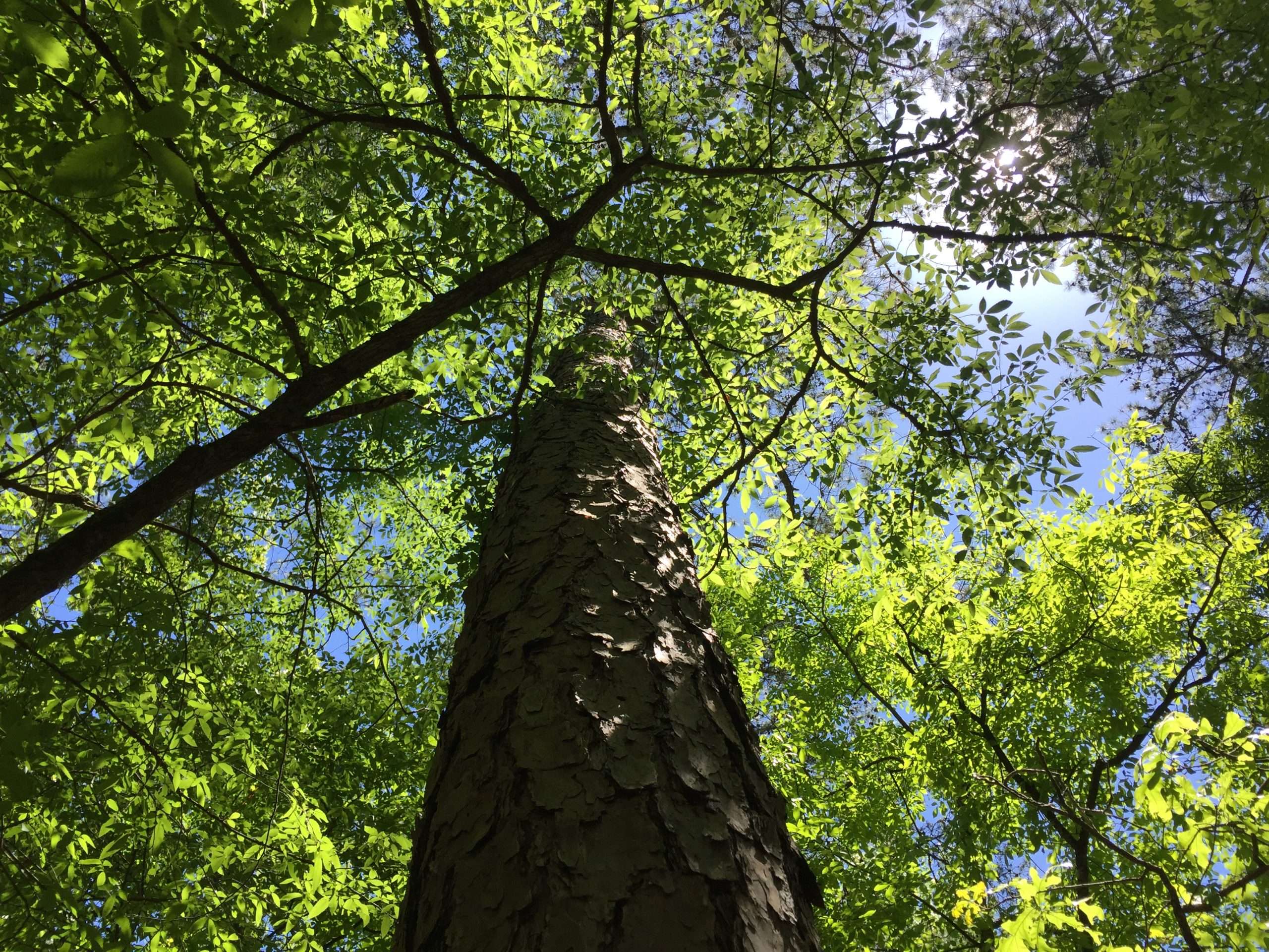 The Many Activities Inside Boomers Rock HSV › HSV Inside Out