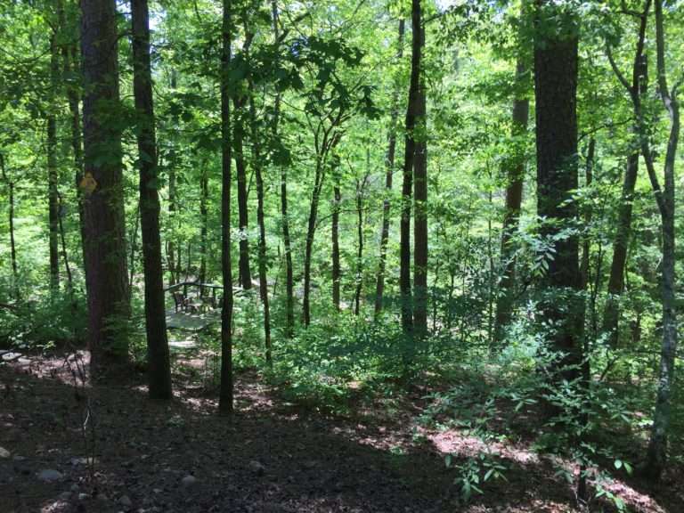 Remmel Dam at the Ouachita River › HSV Inside Out