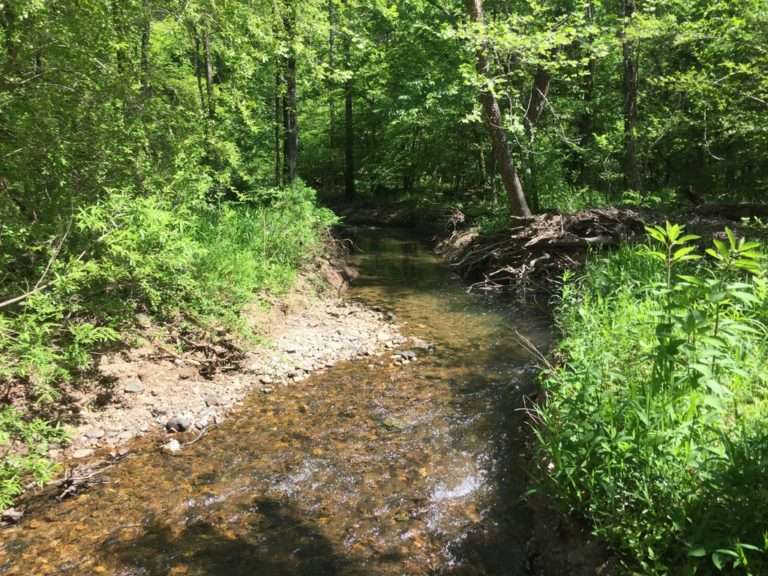Remmel Dam at the Ouachita River › HSV Inside Out