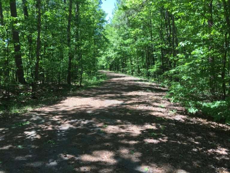 Remmel Dam at the Ouachita River › HSV Inside Out