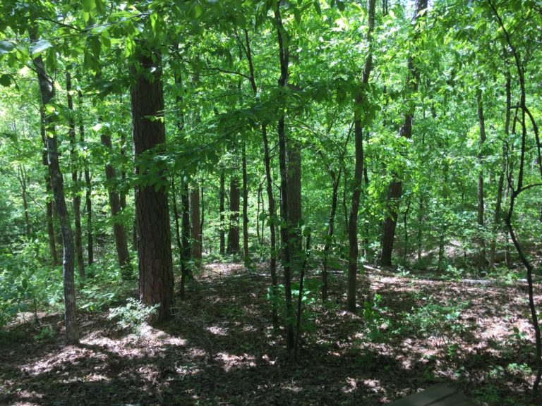 Remmel Dam at the Ouachita River › HSV Inside Out